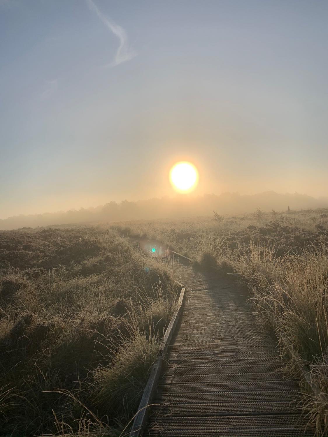 Lenzie Moss - East Dunbartonshire Asset Map