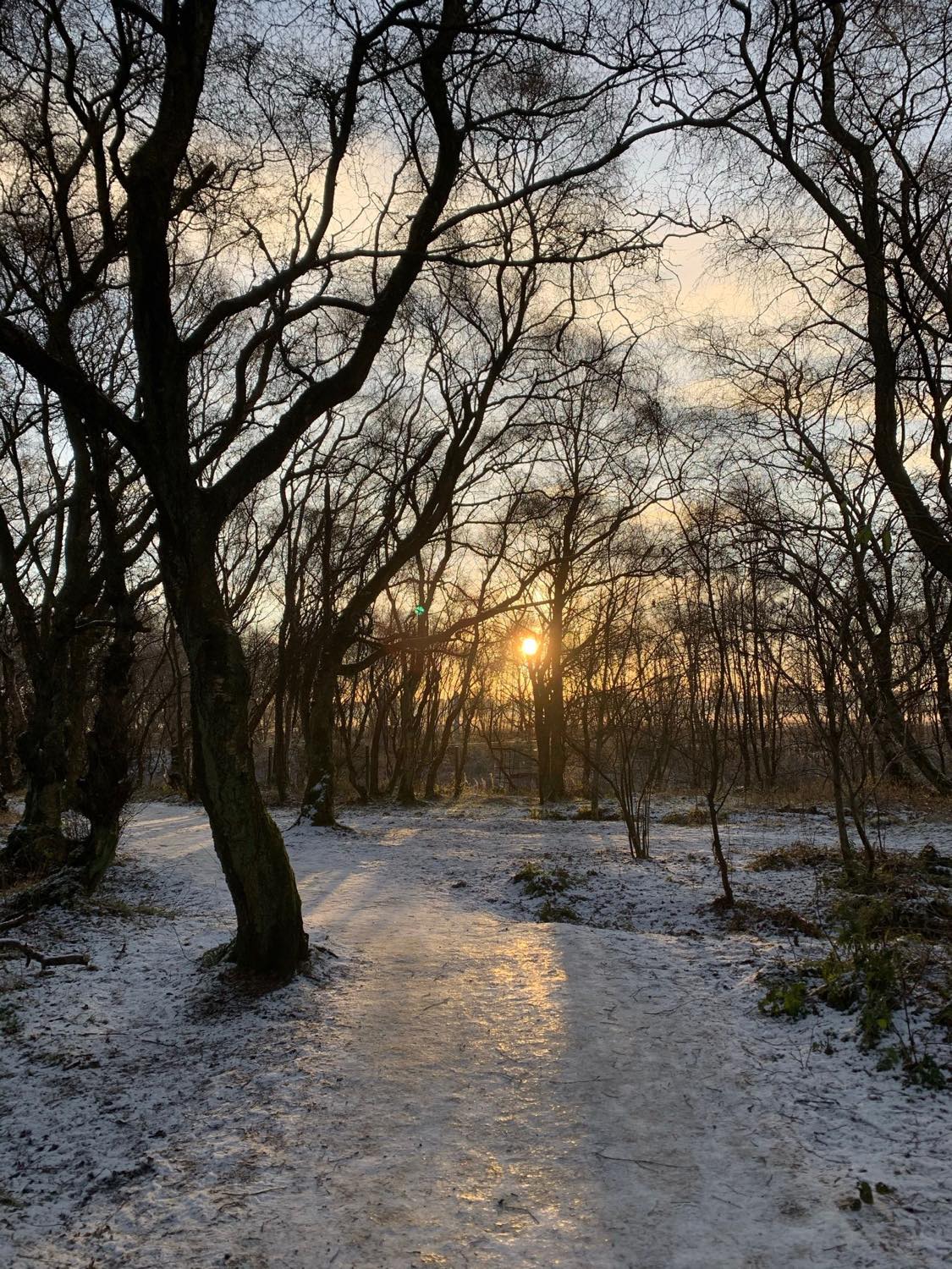 Lenzie Moss - East Dunbartonshire Asset Map